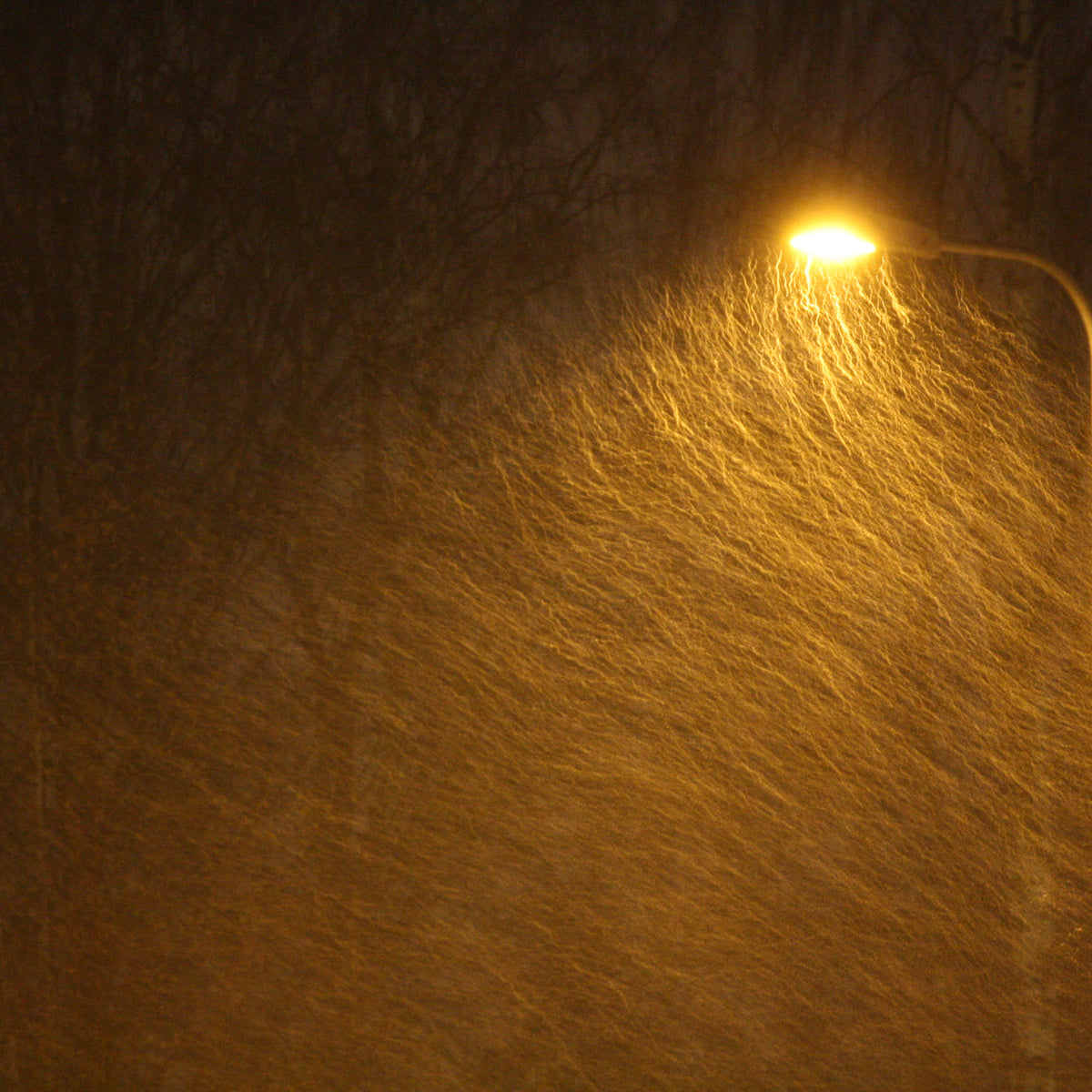 The IP (Ingress Protection) Rating – Davis Lighting